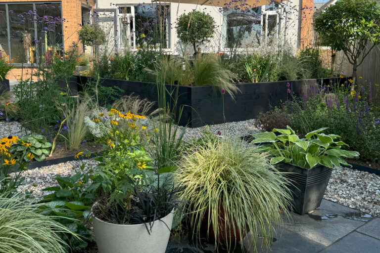 How to Make a Small Garden Look Bigger: Expert Design Tips - Blue Daisy ...